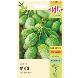 Semente Maxixe 3,20g | Leroy Merlin