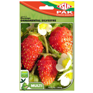 Semente Morango Ornamental Silvestre Isla Sementes | Leroy Merlin