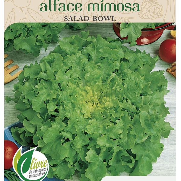 Sementes Alface Mimosa (salad Bowl) Topseed | Leroy Merlin