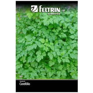 Sementes De Cerefólio Samir Feltrin | Leroy Merlin