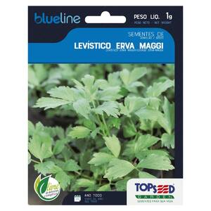 Sementes De Levistico Erva/maggi Blueline (1g) Topseed | Leroy Merlin