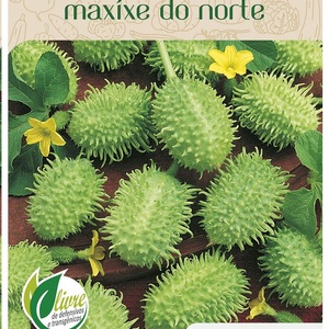 Sementes Maxixe Do Norte Topseed | Leroy Merlin