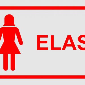 Tapete Capacho - Banheiro Elas | Leroy Merlin