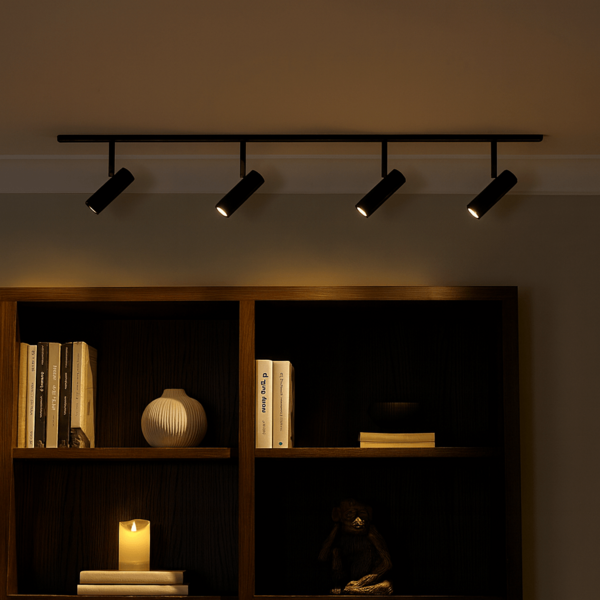 Trilho De Teto Amaya 1m Com 4 Spots Led Direcionáveis Preto | Leroy Merlin